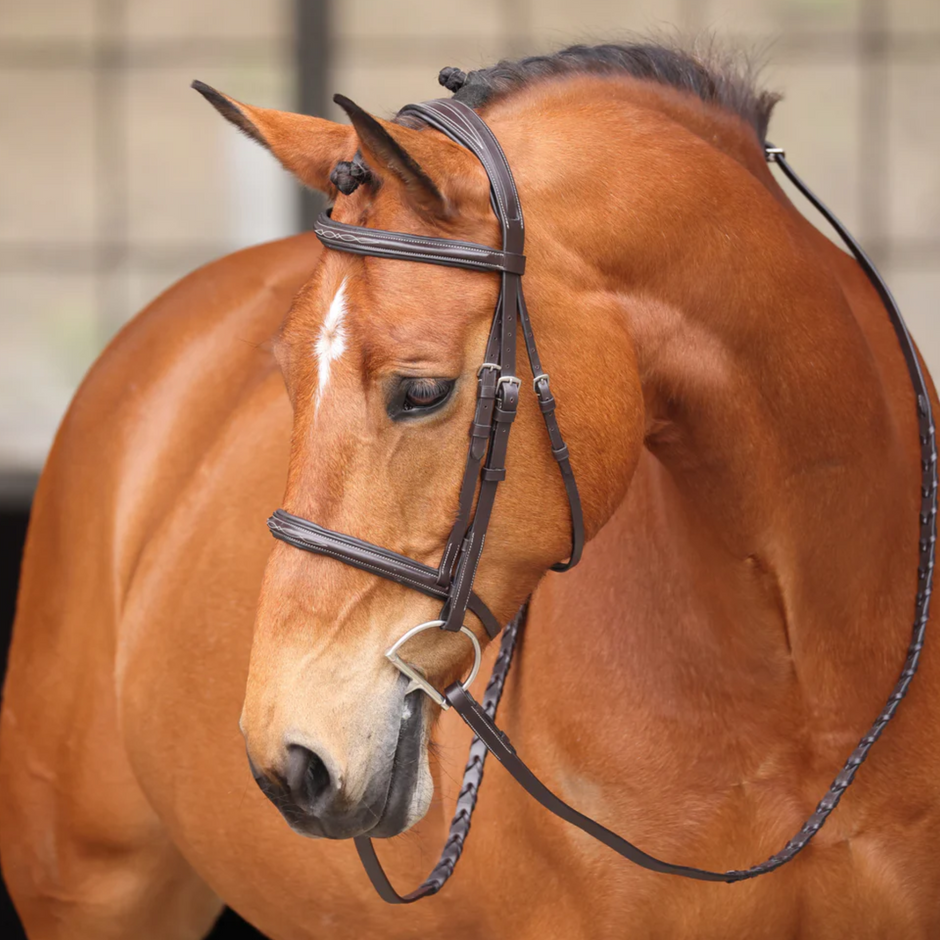 Bridles, Reins, & Parts – Old Field Farm Horse & Home